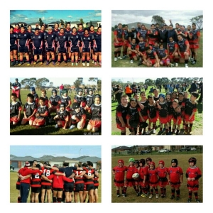 Werribee Bears - Alchetron, The Free Social Encyclopedia